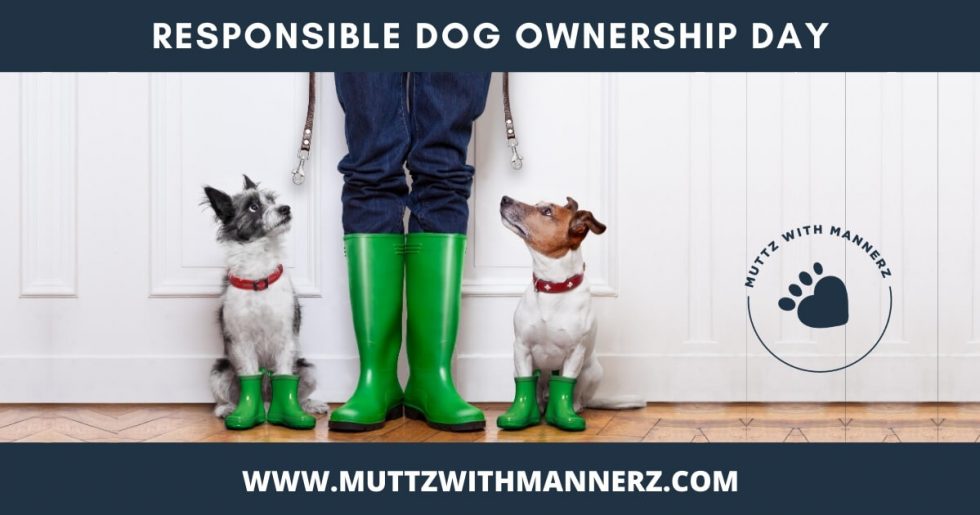 Tips to Follow to Be a Responsible Dog Owner - Muttz with Mannerz™