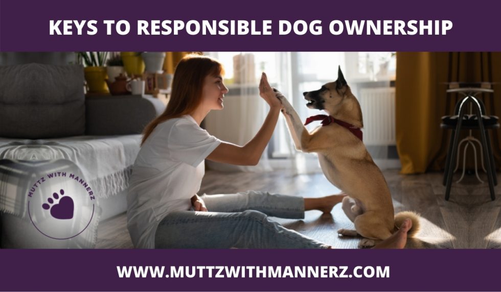 Keys to Responsible Dog Ownership | Muttz with Mannerz™