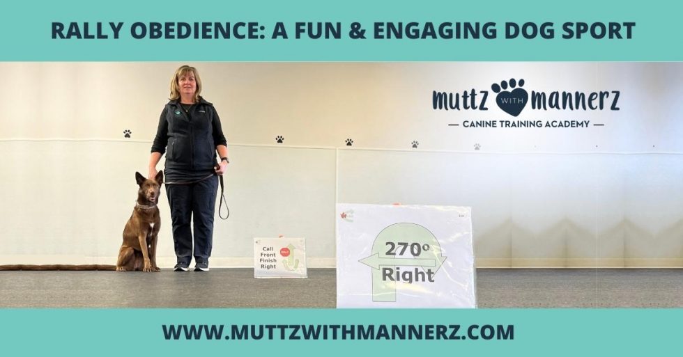 Rally Obedience: A Fun & Engaging Dog Sport | Muttz with Mannerz™