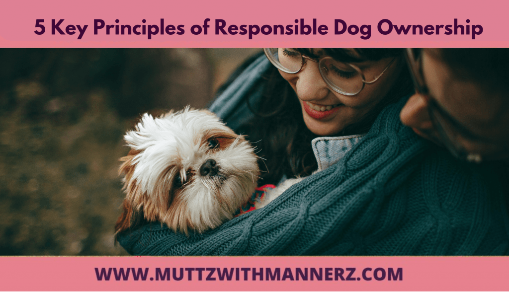 5 Key Principles of Responsible Dog Ownership | Muttz with Mannerz™